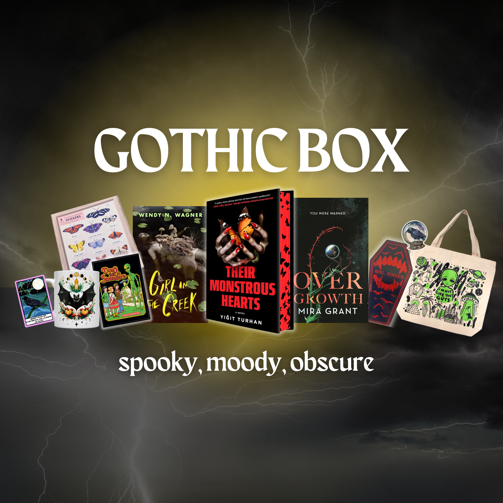 LITE VERSION: Black Cat's Monthly Book Box | Black Cat Books & Oddities ...