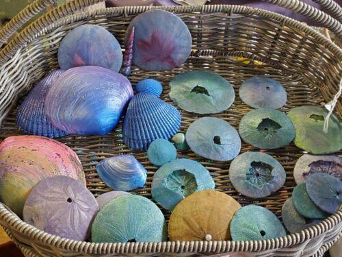 Izzy Paints | Black Cat Books & Oddities - Medina, Ohio