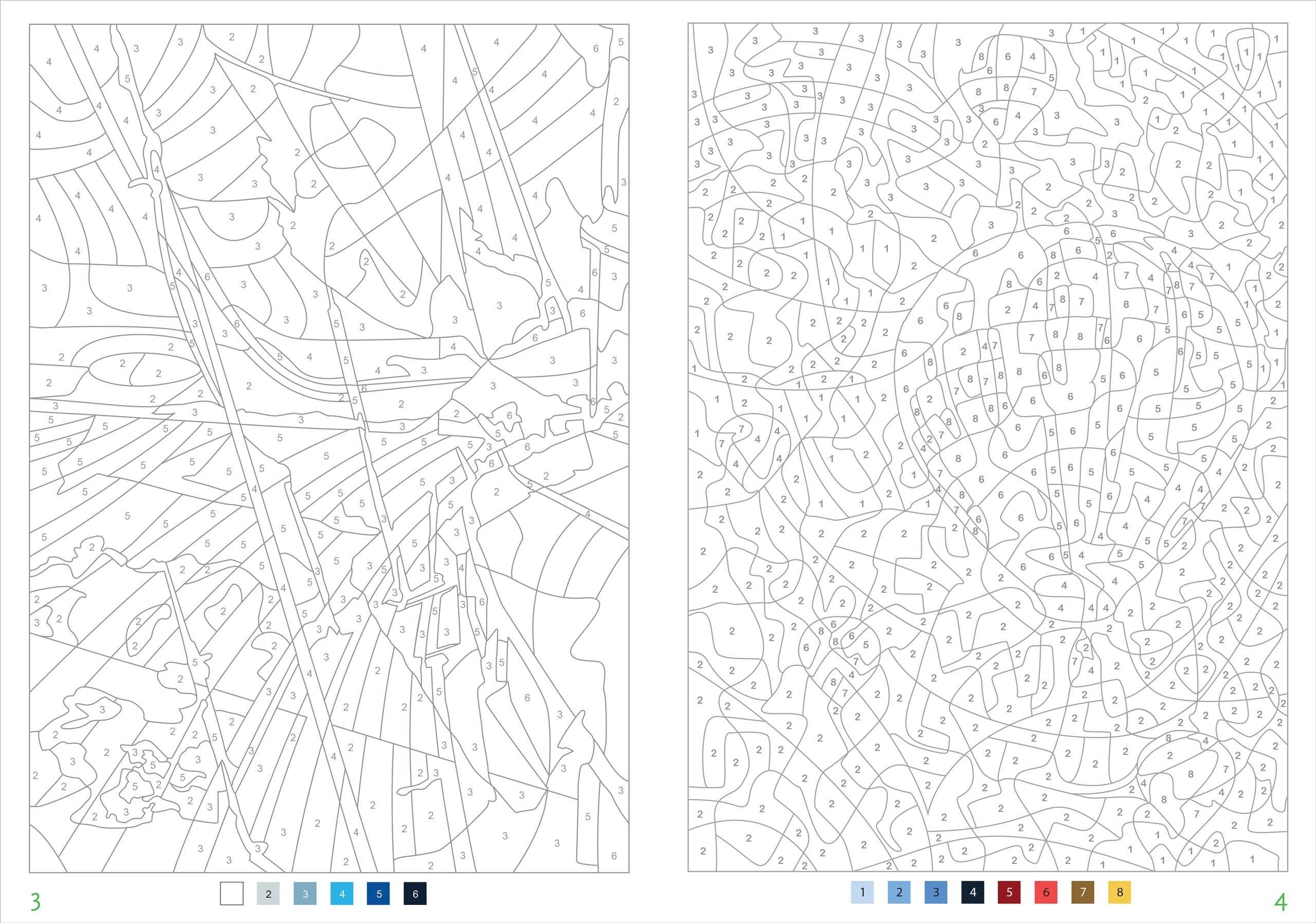 100 Mystery Illustrations to Unveil: A Color-by-Number | Black Cat ...