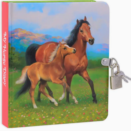My Horse Diary Lock and Key Diary | Black Cat Books & Oddities - Medina ...